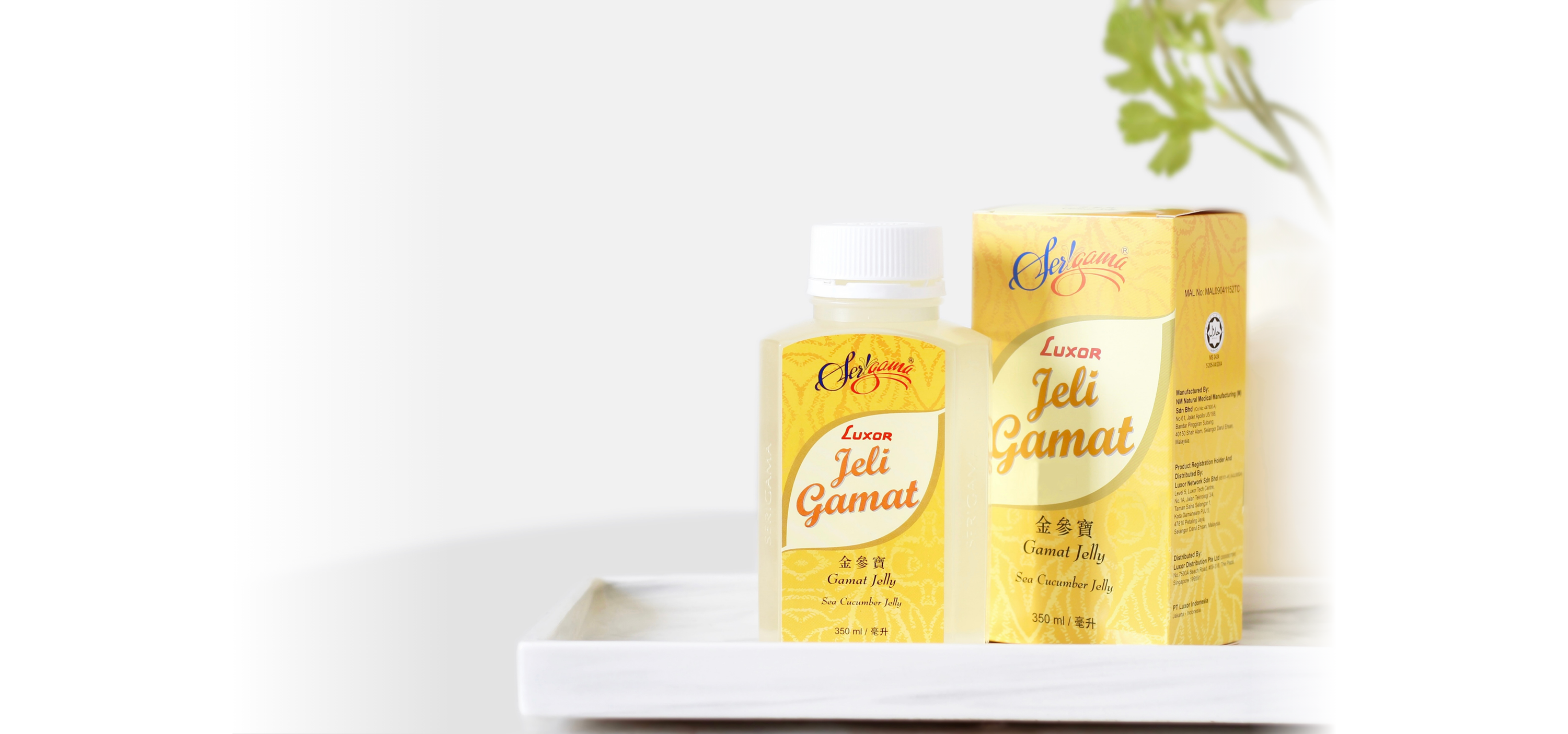 What Is Gold Gamat? Discover the Natural Health Wonder – Serigama